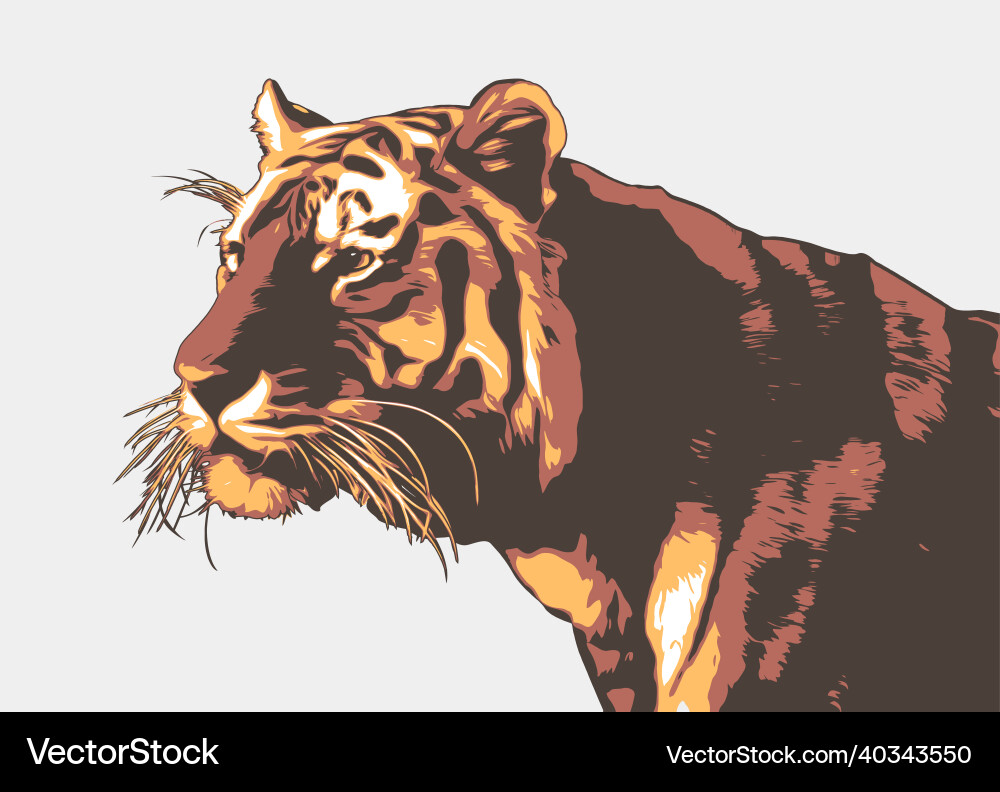 Tiger Royalty Free Vector Image - VectorStock
