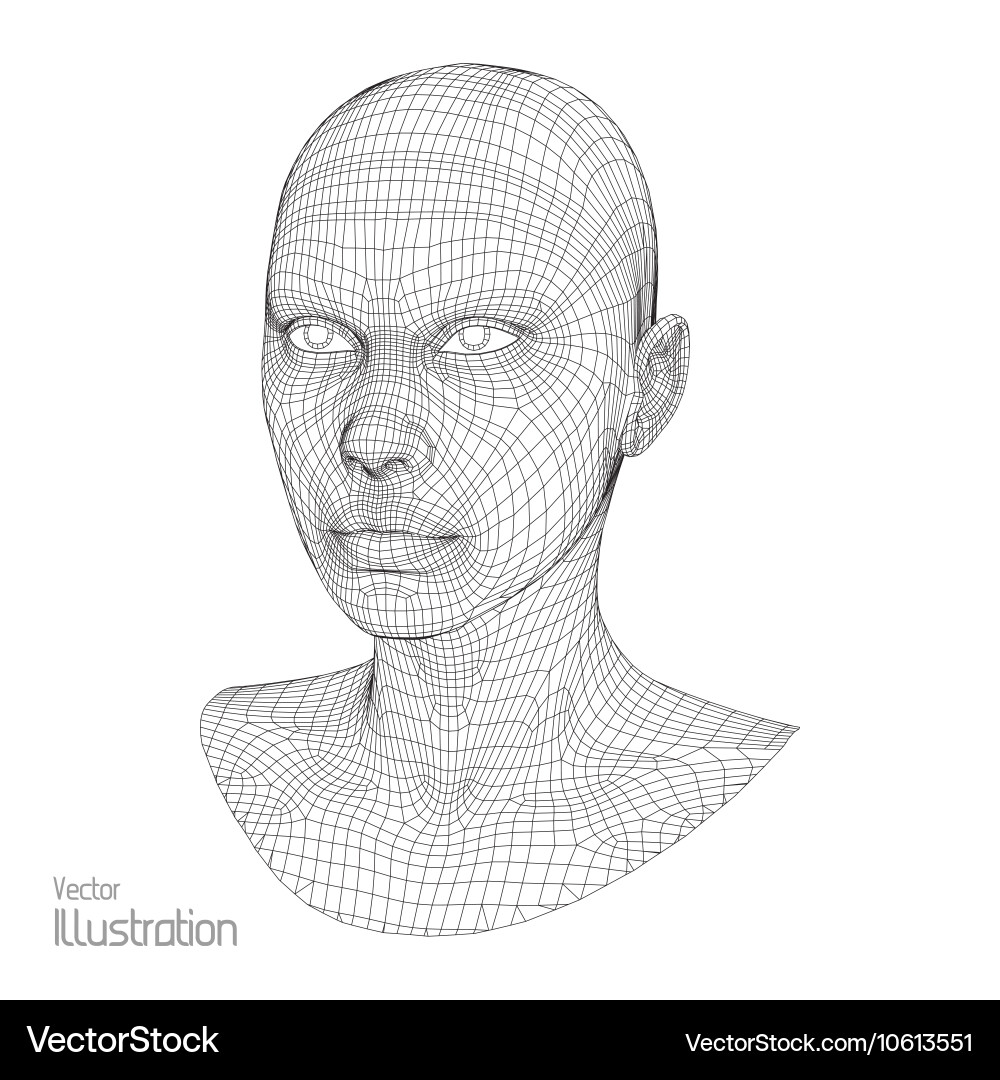 3D Human Head Wireframe Model Royalty Free Vector Image