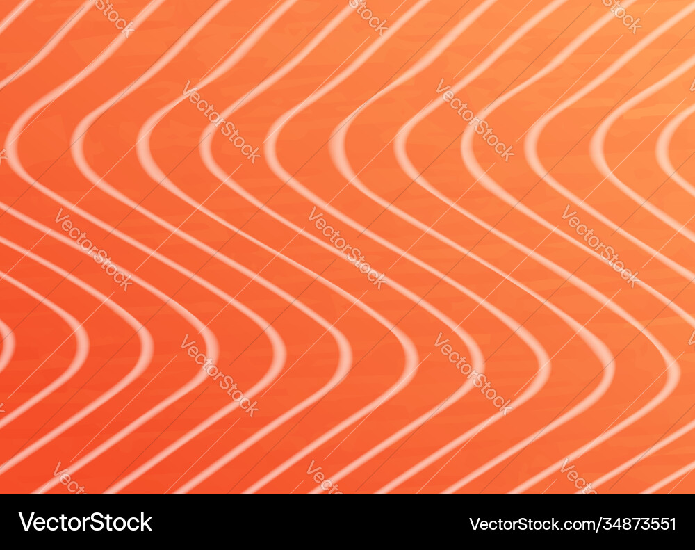 Salmon trout fish meat texture background Vector Image