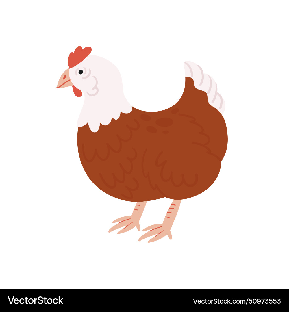 Chicken farm bird Royalty Free Vector Image - VectorStock