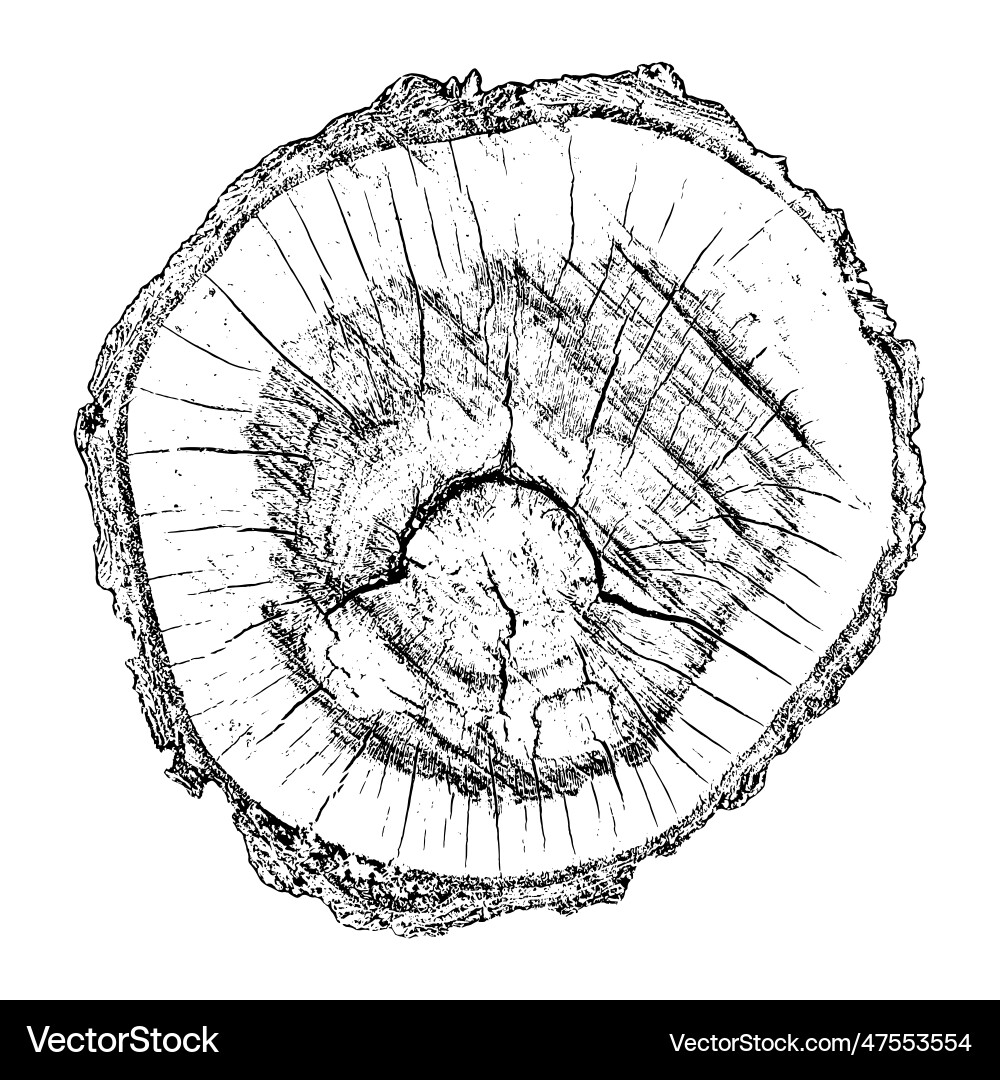 Distressed wood texture Royalty Free Vector Image