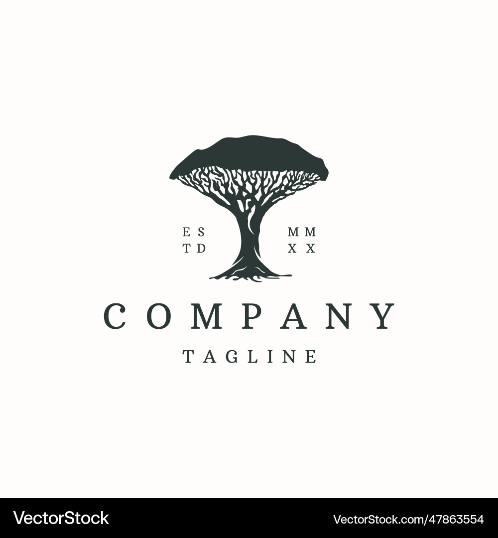 Dragon blood tree or dracaena cinnabari logo Vector Image