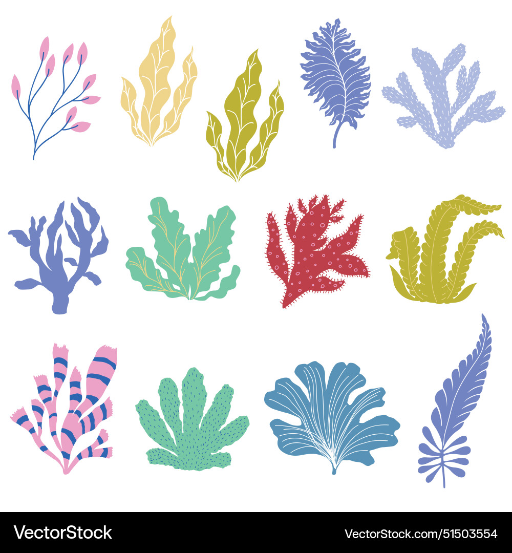 Seaweeds on the white Royalty Free Vector Image