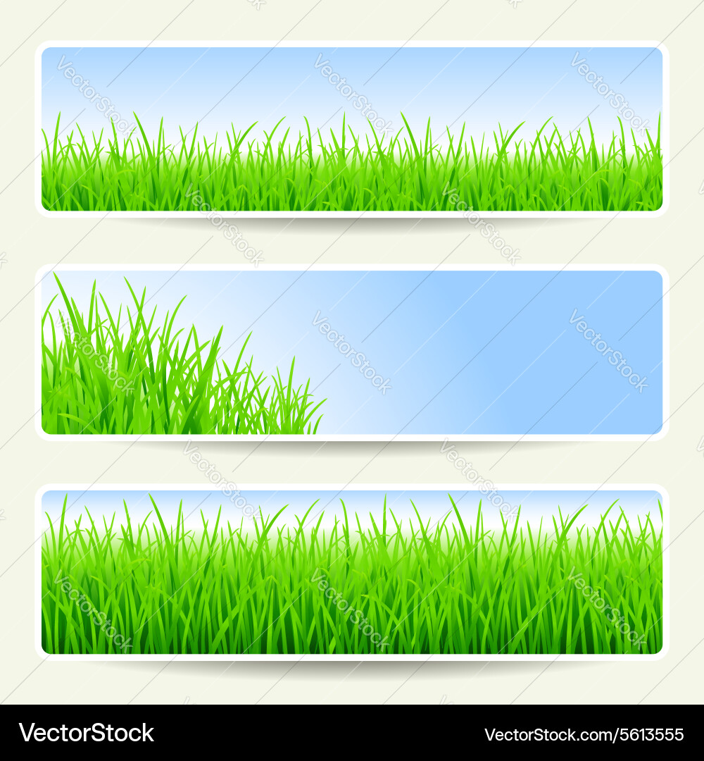Grass banners empty Royalty Free Vector Image - VectorStock