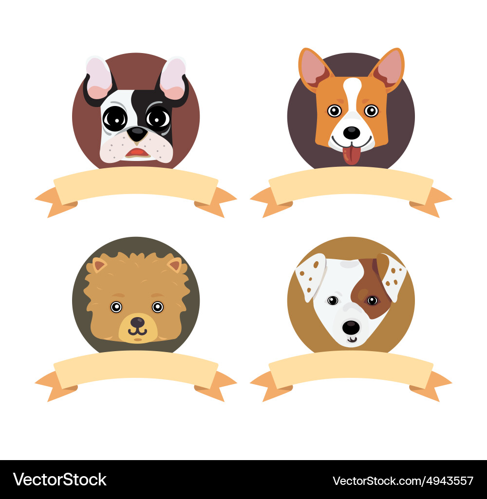Dog tag Royalty Free Vector Image - VectorStock