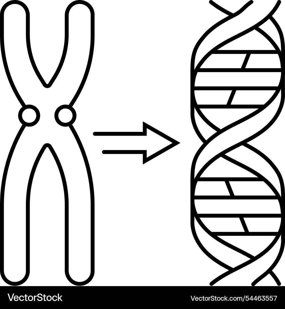 Gene genetic engineering line icon Royalty Free Vector Image