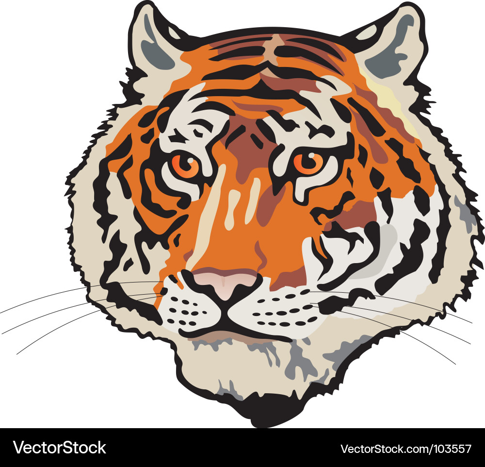 Tiger head Royalty Free Vector Image - VectorStock