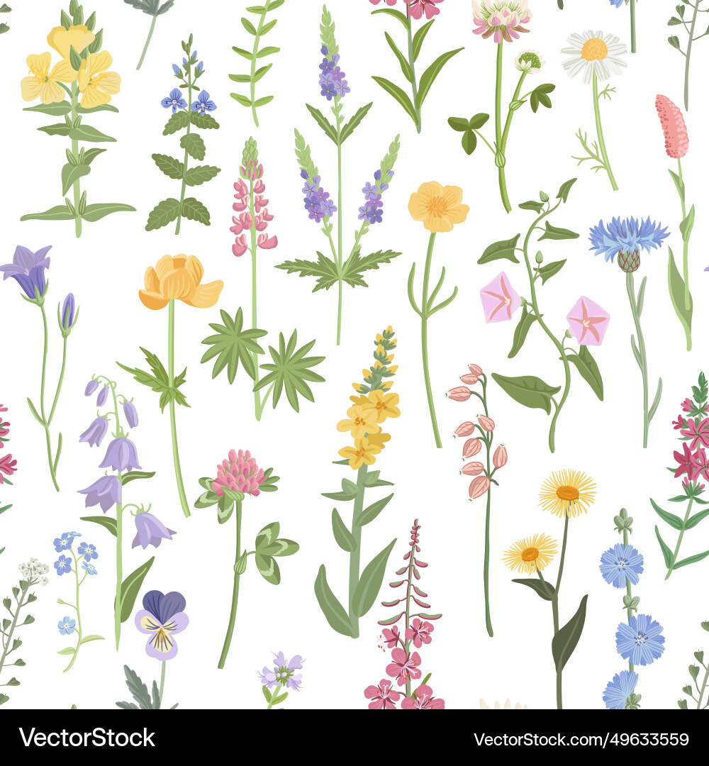 Seamless pattern with wild flowers Royalty Free Vector Image