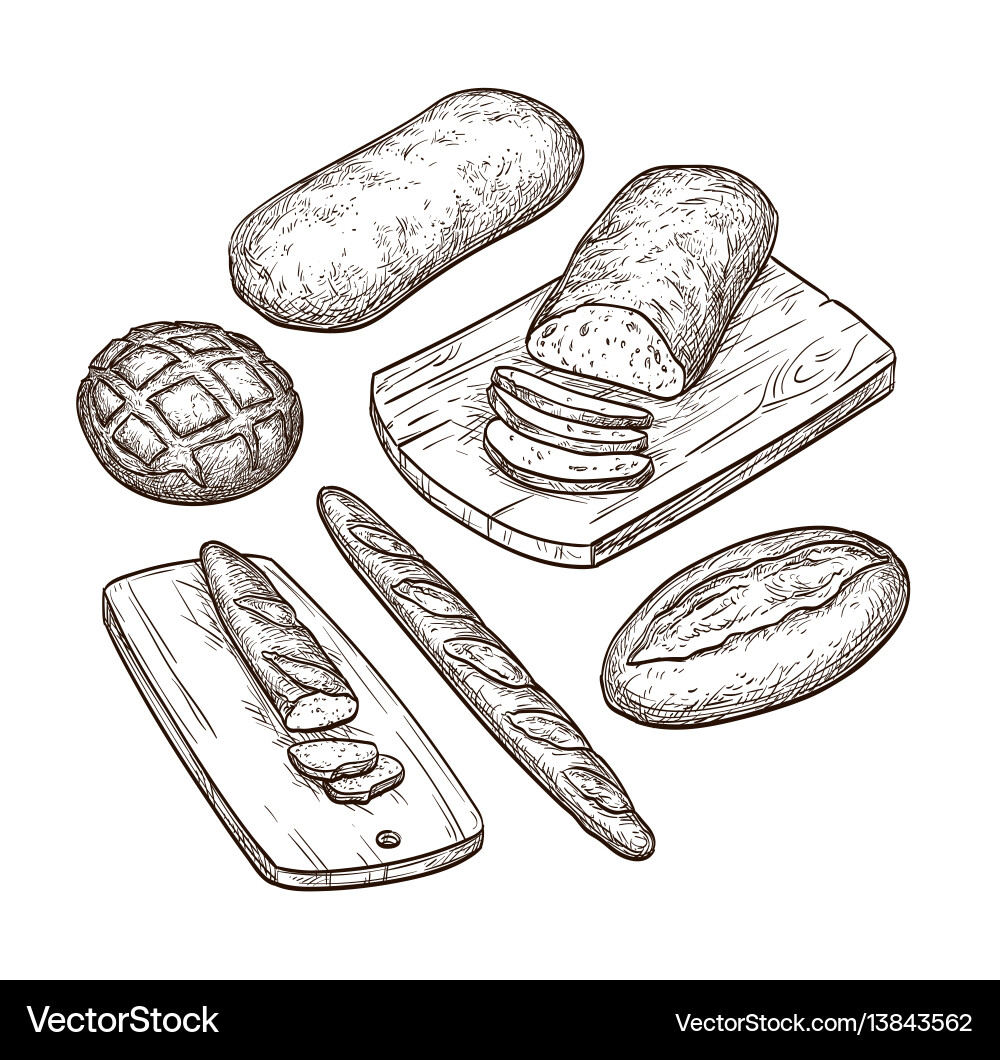 Hand drawn bread set Royalty Free Vector Image