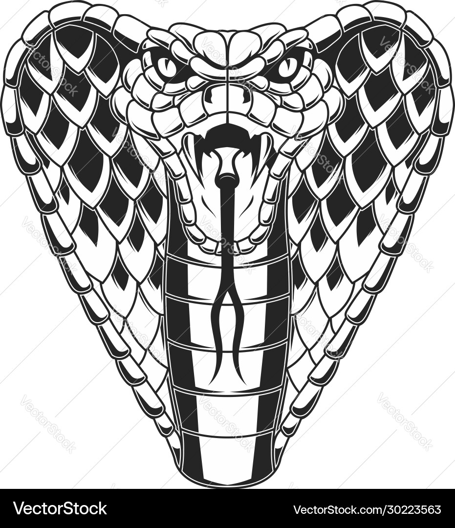 Cobra snake design element for logo label sign Vector Image