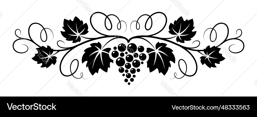 Grapes vine decorative pattern Royalty Free Vector Image