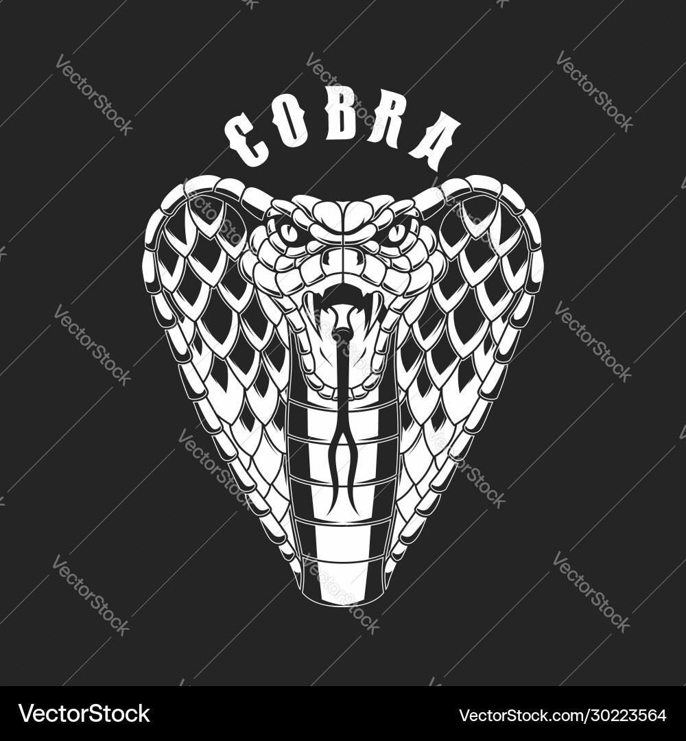 Cobra snake design element for logo label sign Vector Image