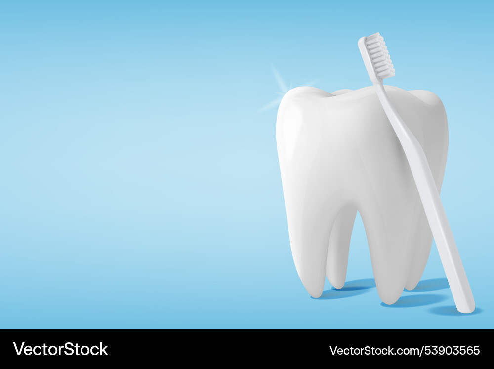 3d realistic tooth with toothbrush tooth Vector Image