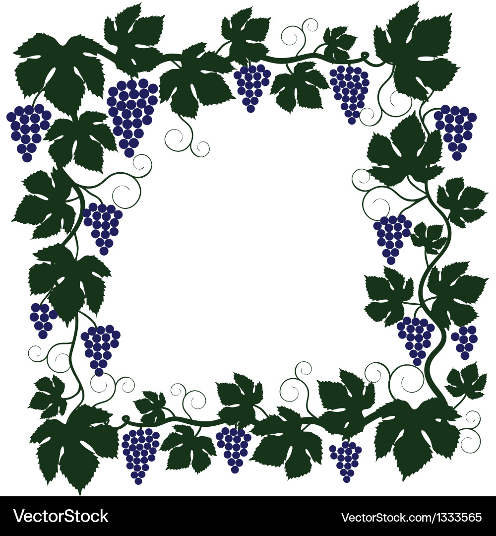 Vine frame Royalty Free Vector Image - VectorStock