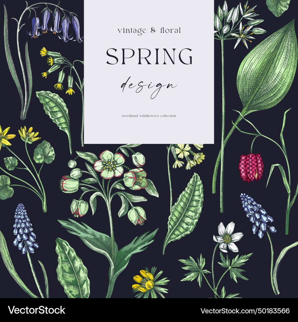Elegant spring poster design wildflowers print Vector Image