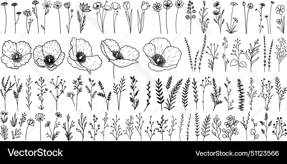 Floral branch Royalty Free Vector Image - VectorStock