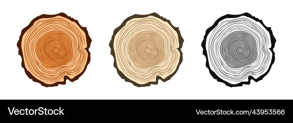 Round tree trunk cuts in various colors sawn pine Vector Image