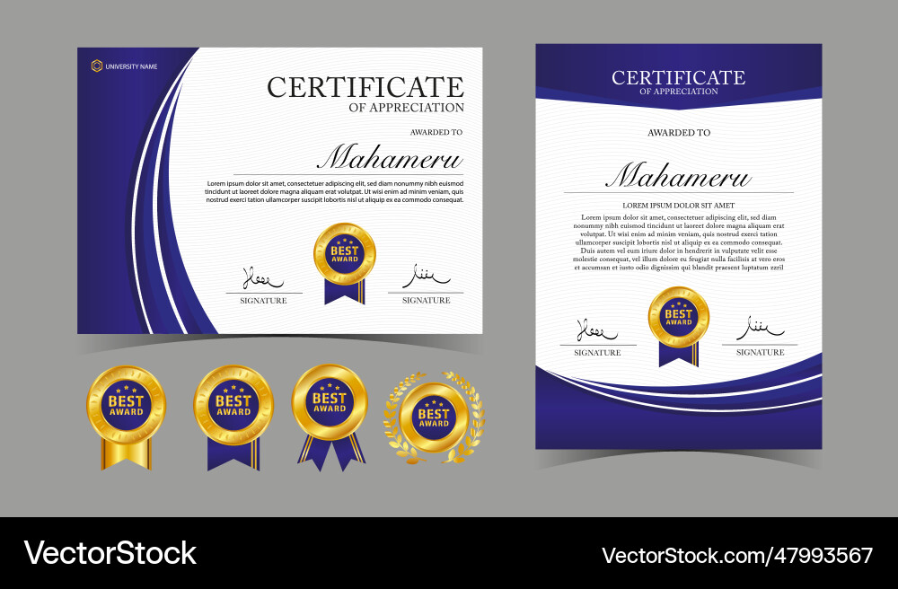 Gold and Blue Certificate Appreciation Template Vector Image