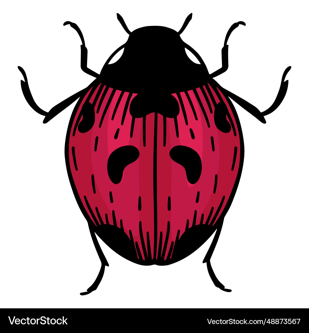Hand drawn symbol ladybug Royalty Free Vector Image