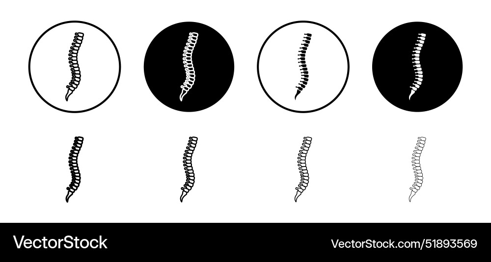 Human spine icon set collection Royalty Free Vector Image