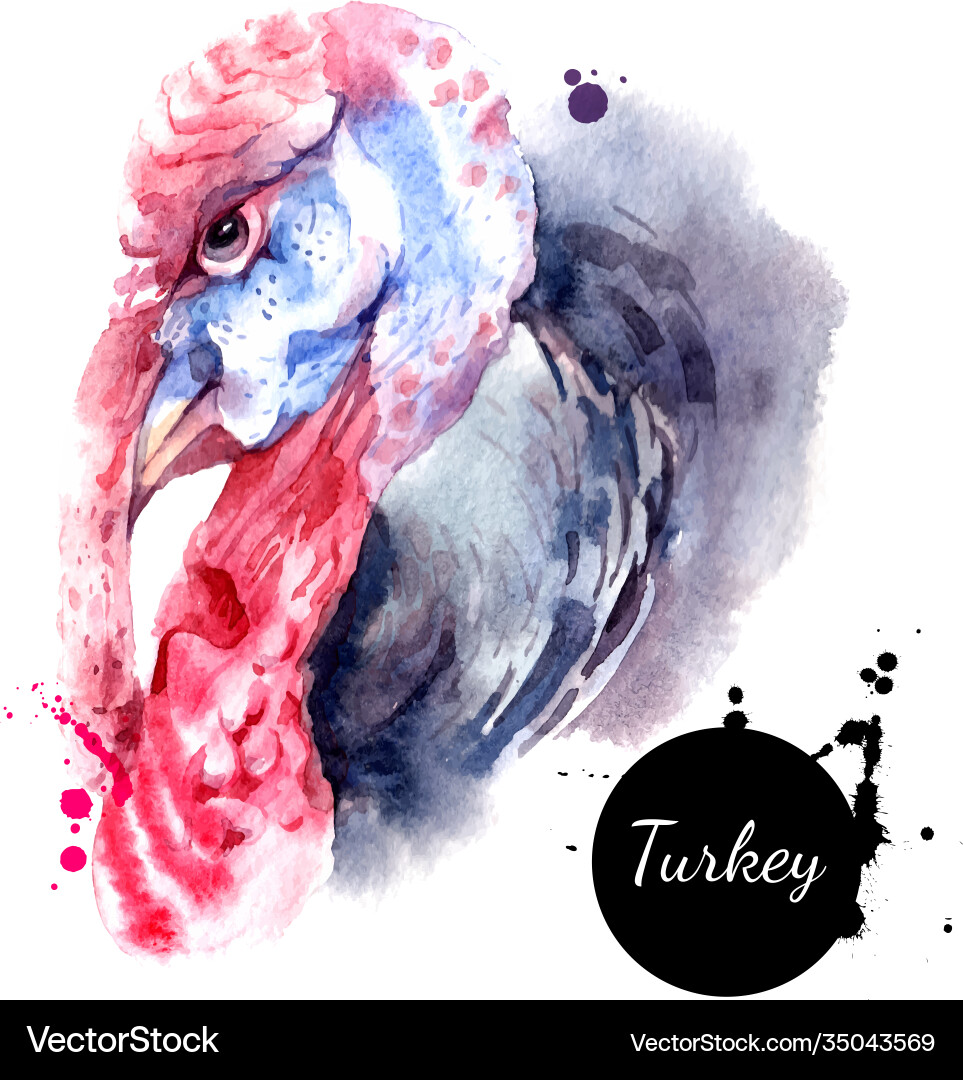 Watercolor hand drawn turkey profile head Vector Image