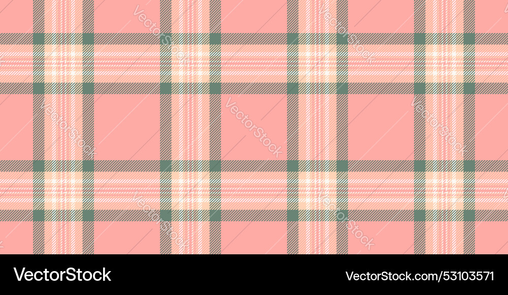 Gentleman check pattern background lumberjack Vector Image