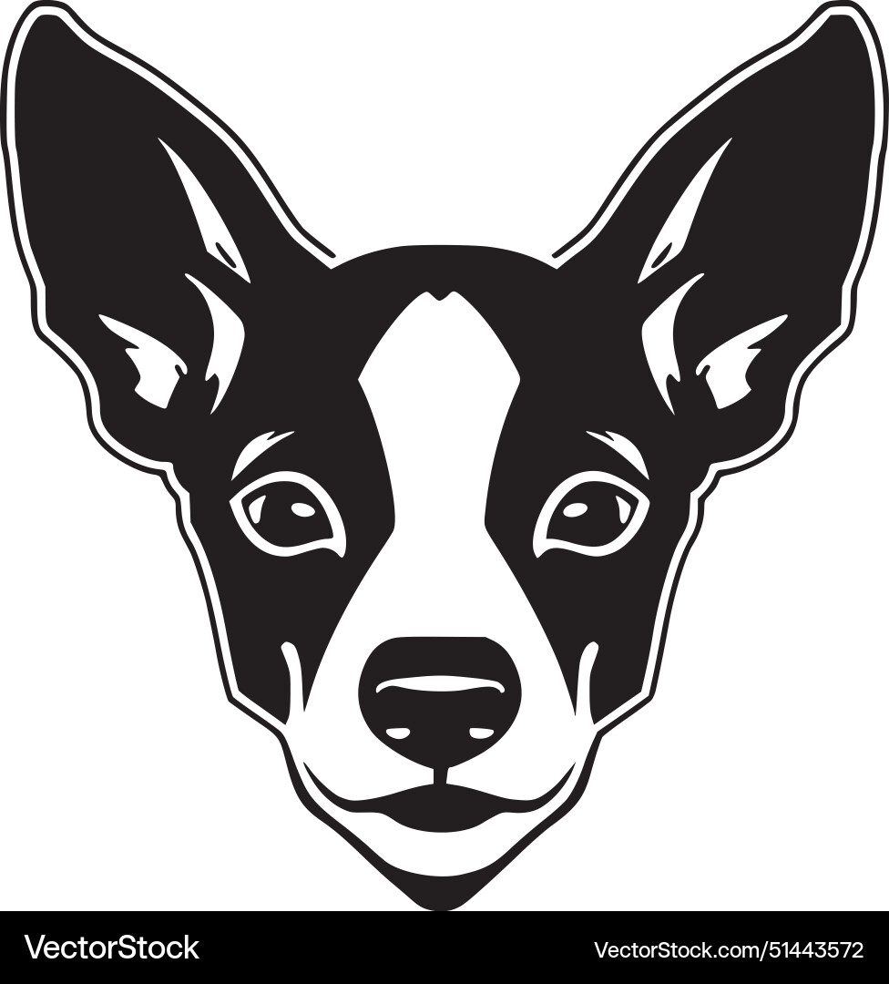 Basenji - high quality logo ideal for t-shirt Vector Image