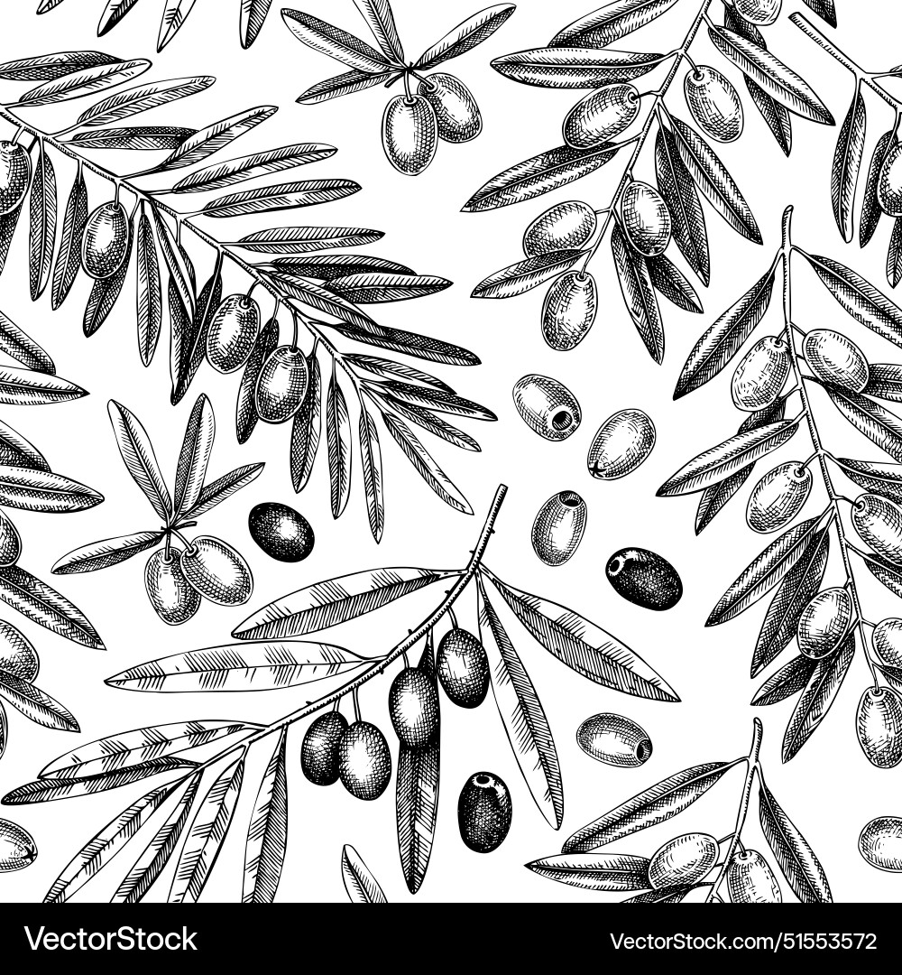 Olives seamless pattern olive branches background Vector Image