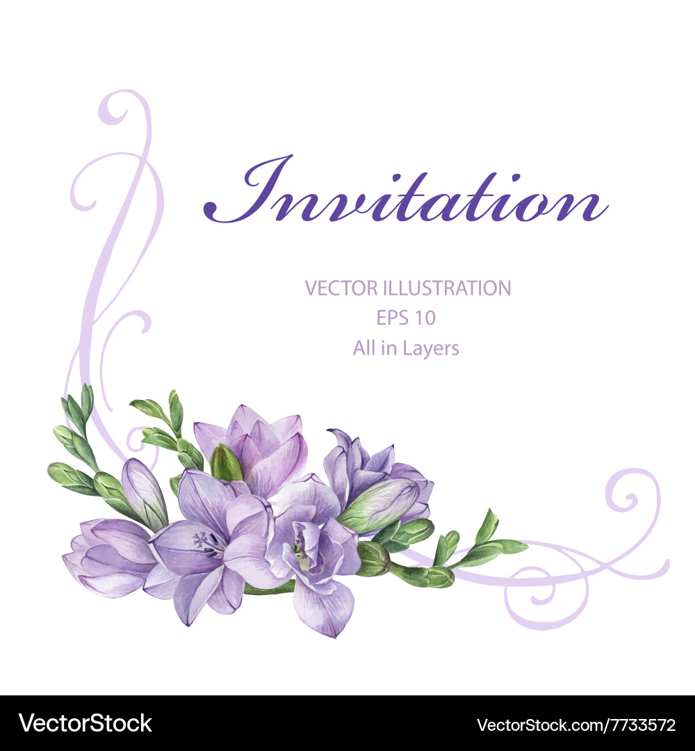 Purple freesia flowers Royalty Free Vector Image