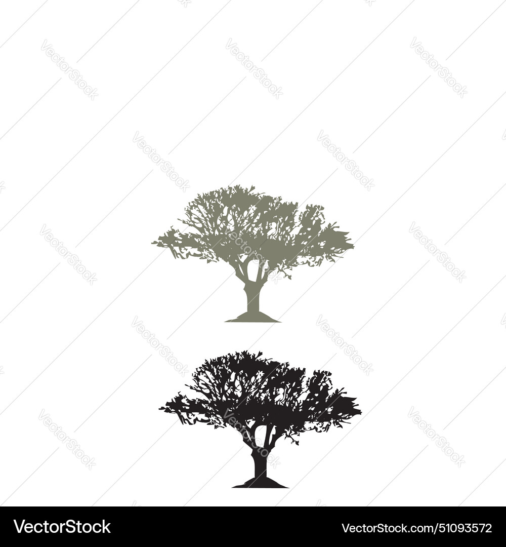 Tree logo icon design biographic Royalty Free Vector Image