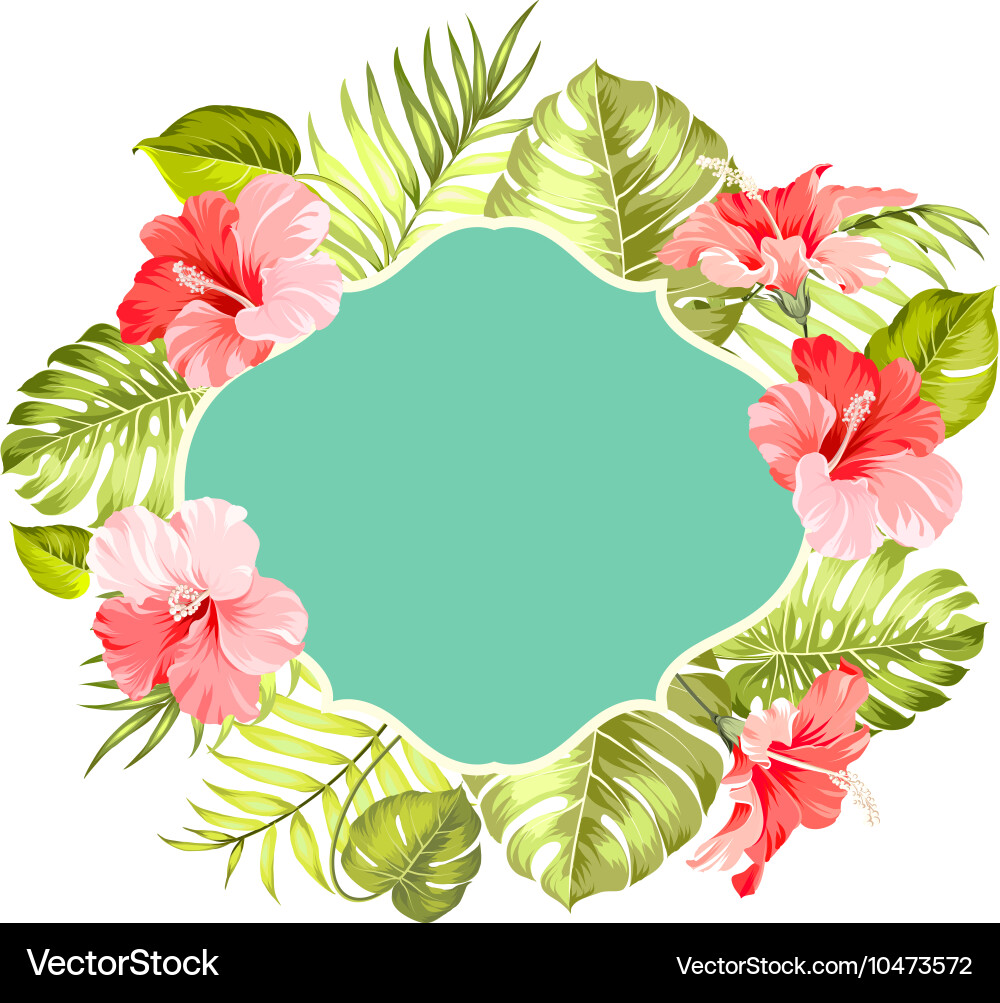 Tropical flower frame Royalty Free Vector Image