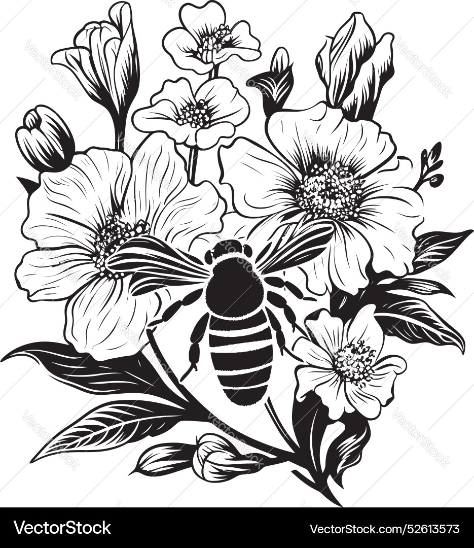 Bee harmony black graphic with bee and flower Vector Image
