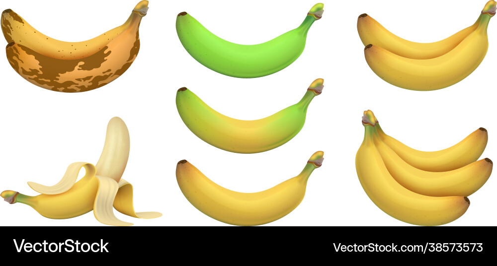 Isolated realistic banana tropical bananas Vector Image