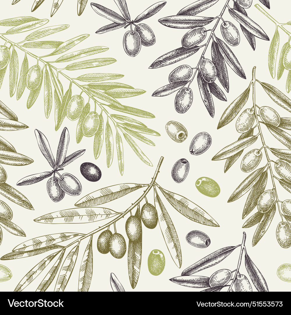 Olives seamless pattern olive branches background Vector Image