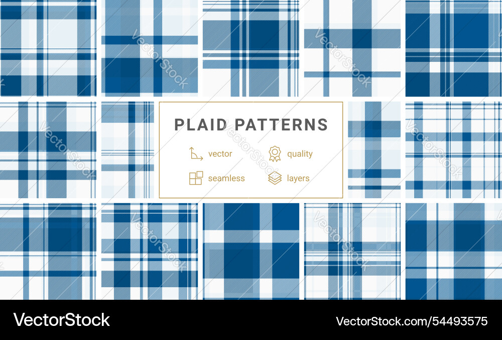 Fashionable plaid fabric designs with stripes Vector Image