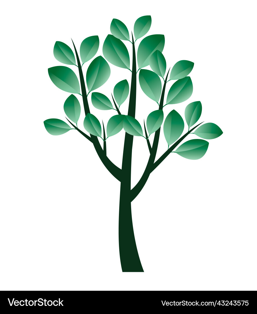 Green spring tree Royalty Free Vector Image - VectorStock