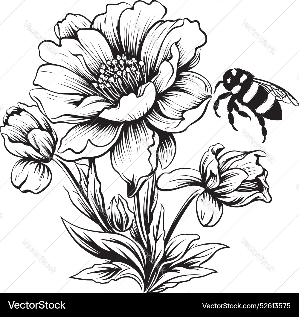 Harmony in nature minimalist black design Vector Image