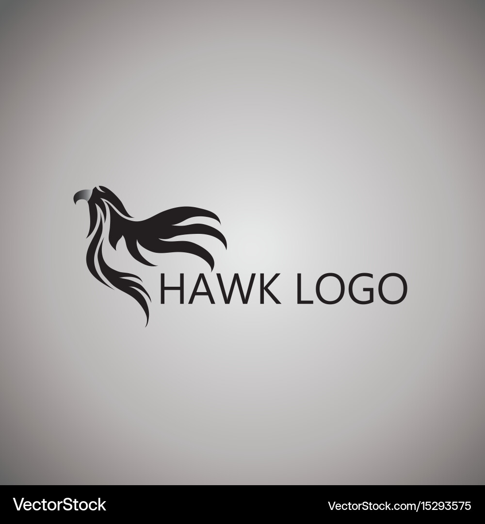 Hawk Logo Concepts - Sharp & Modern Royalty Free Vector