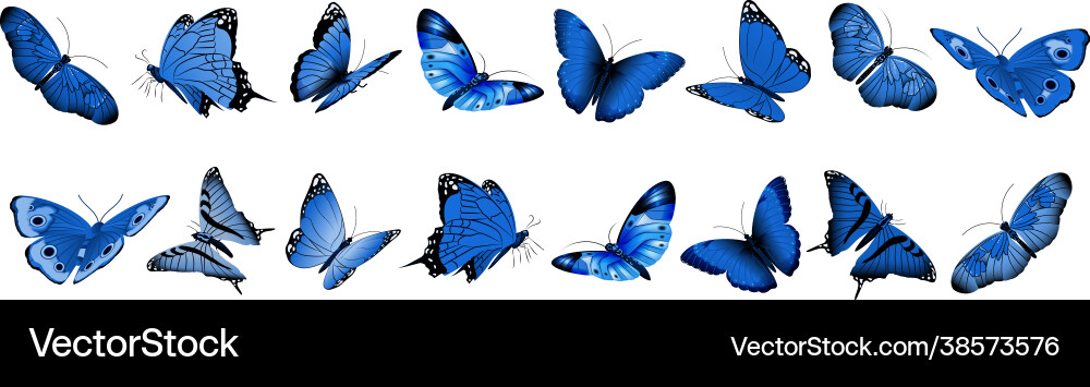 Realistic blue butterflies flying butterfly Vector Image