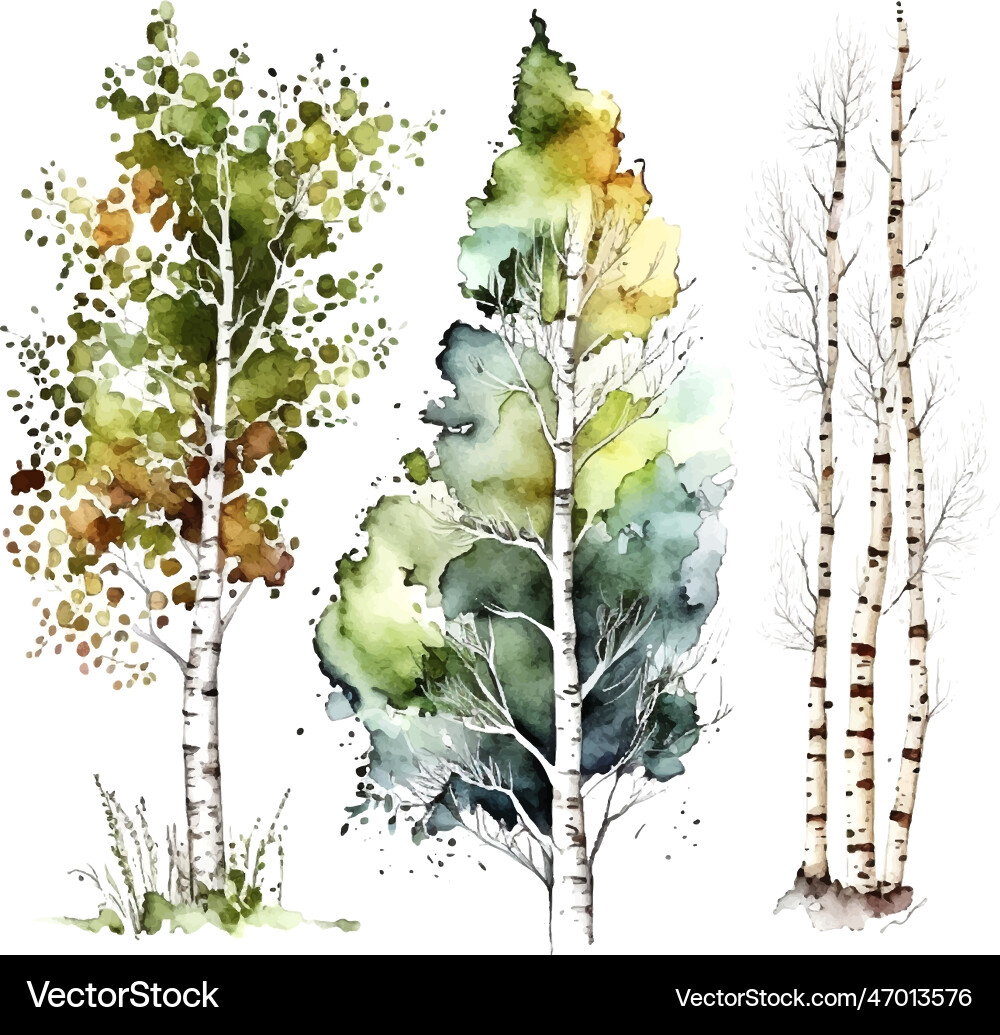 Watercolor birch trees russia tree design element Vector Image