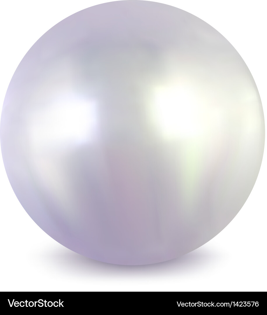 White pearl Royalty Free Vector Image - VectorStock