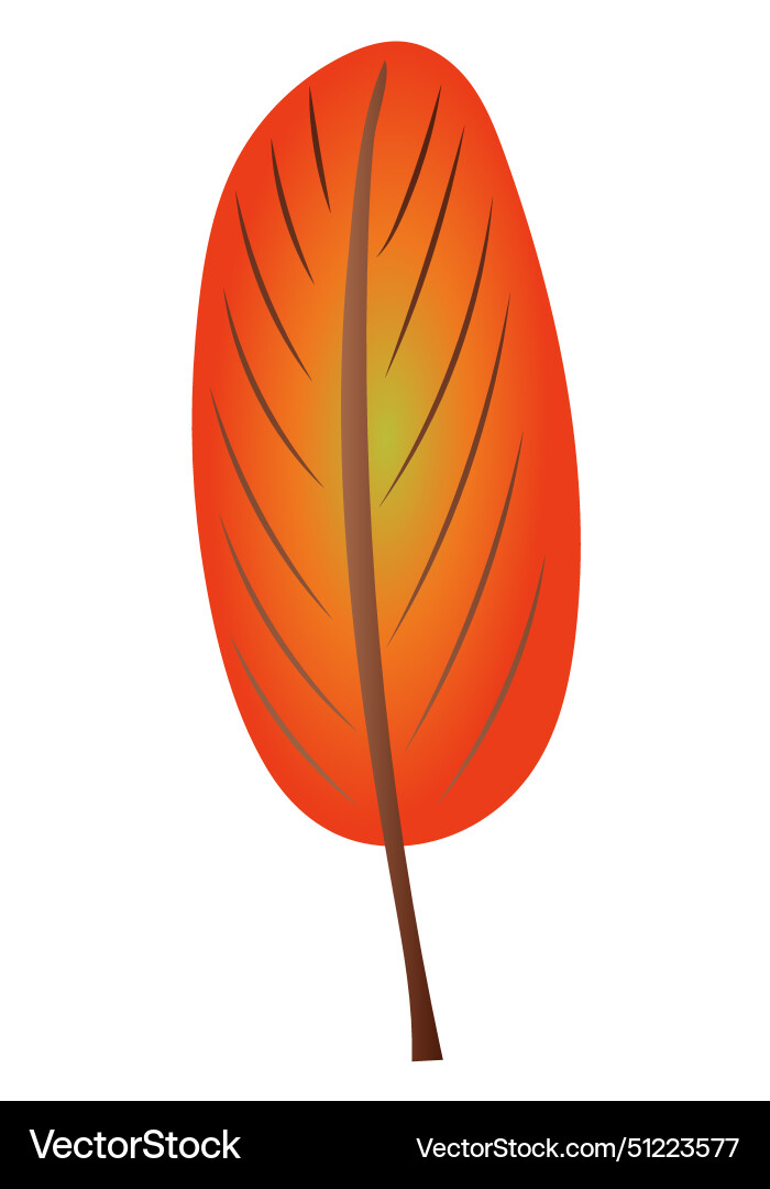 Orange leaf with veins in flat design decorative Vector Image