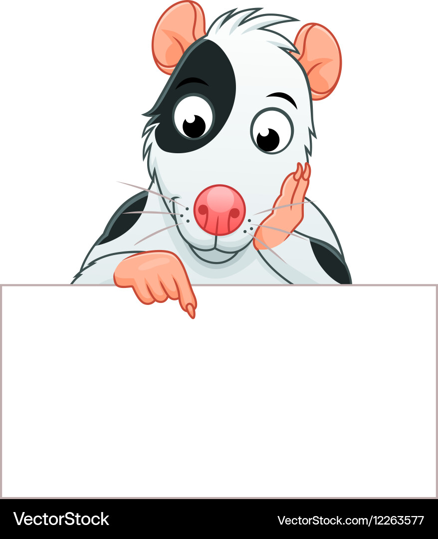Rat pet banner Royalty Free Vector Image - VectorStock