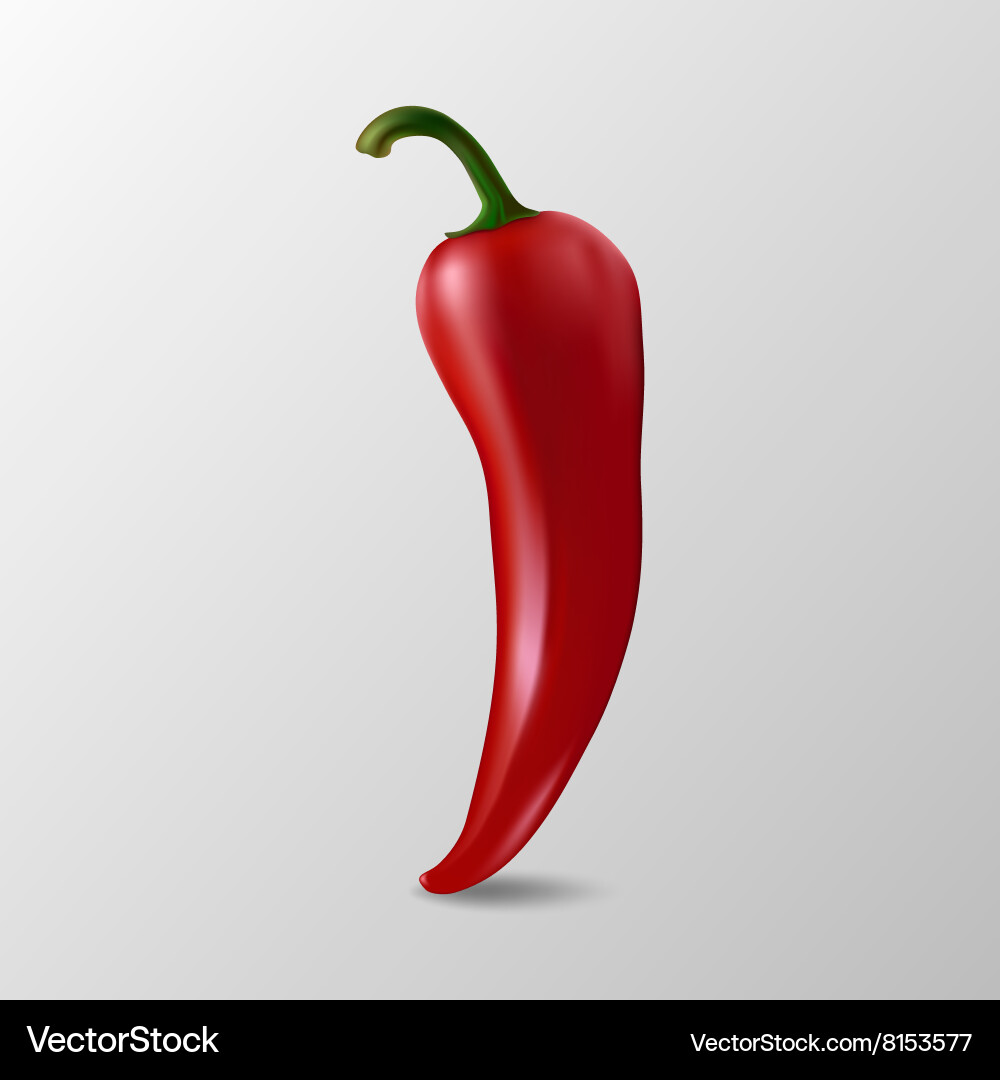 Red chilli pepper Royalty Free Vector Image - VectorStock