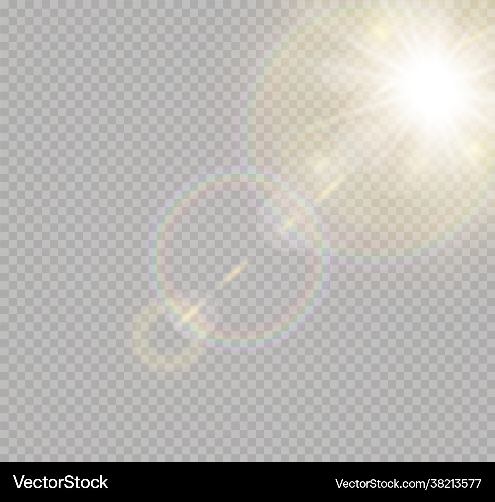Sunlight special lens flash light effect sun Vector Image