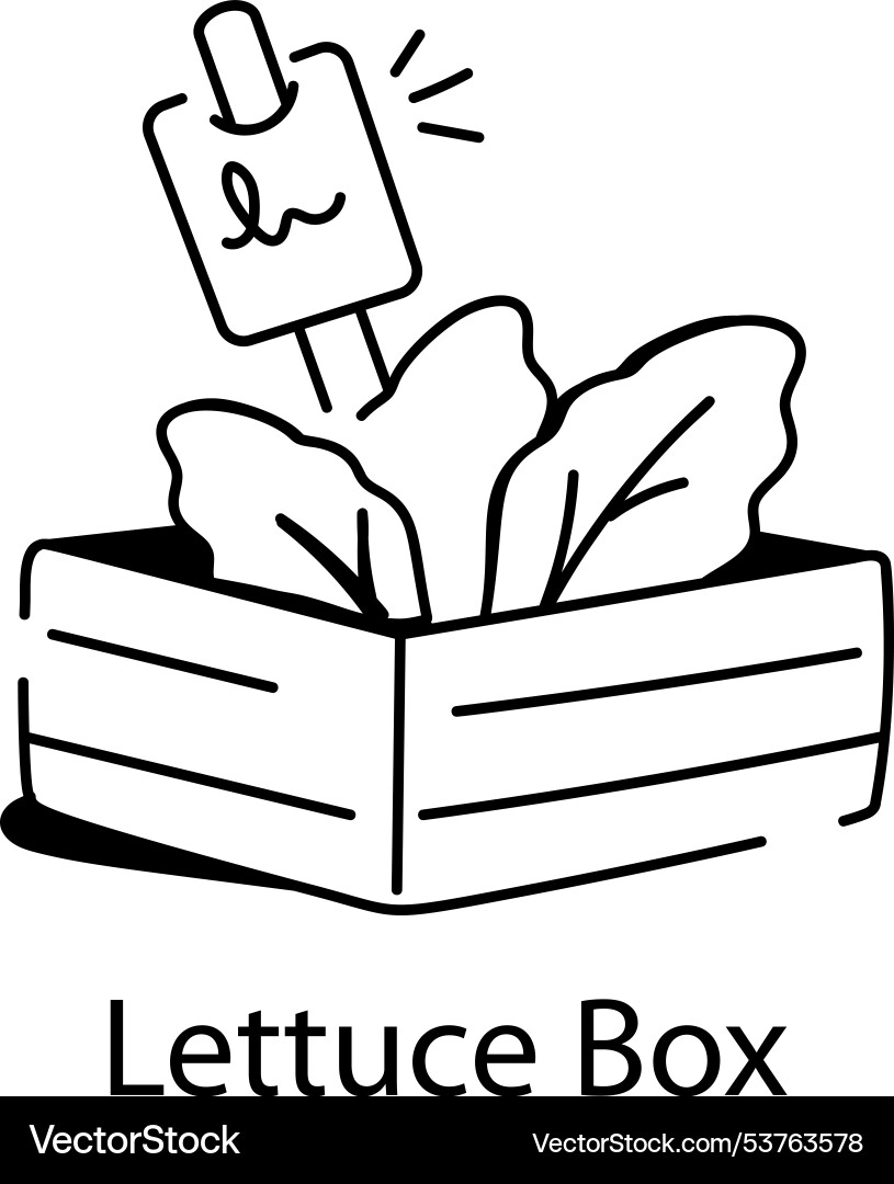 Basic rgbhand drawn style icon of lettuce box Vector Image