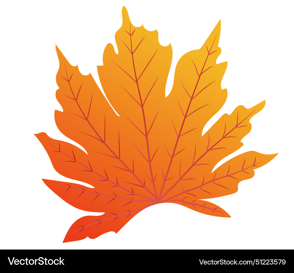 Autumn orange leaf with veins in flat design Vector Image