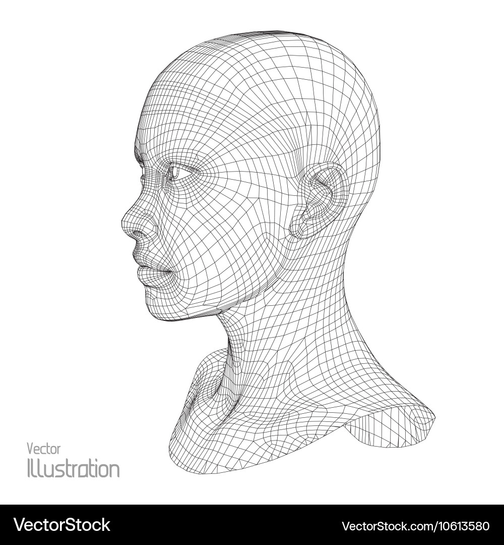 3D Human Head Wireframe Model Royalty Free Vector Image