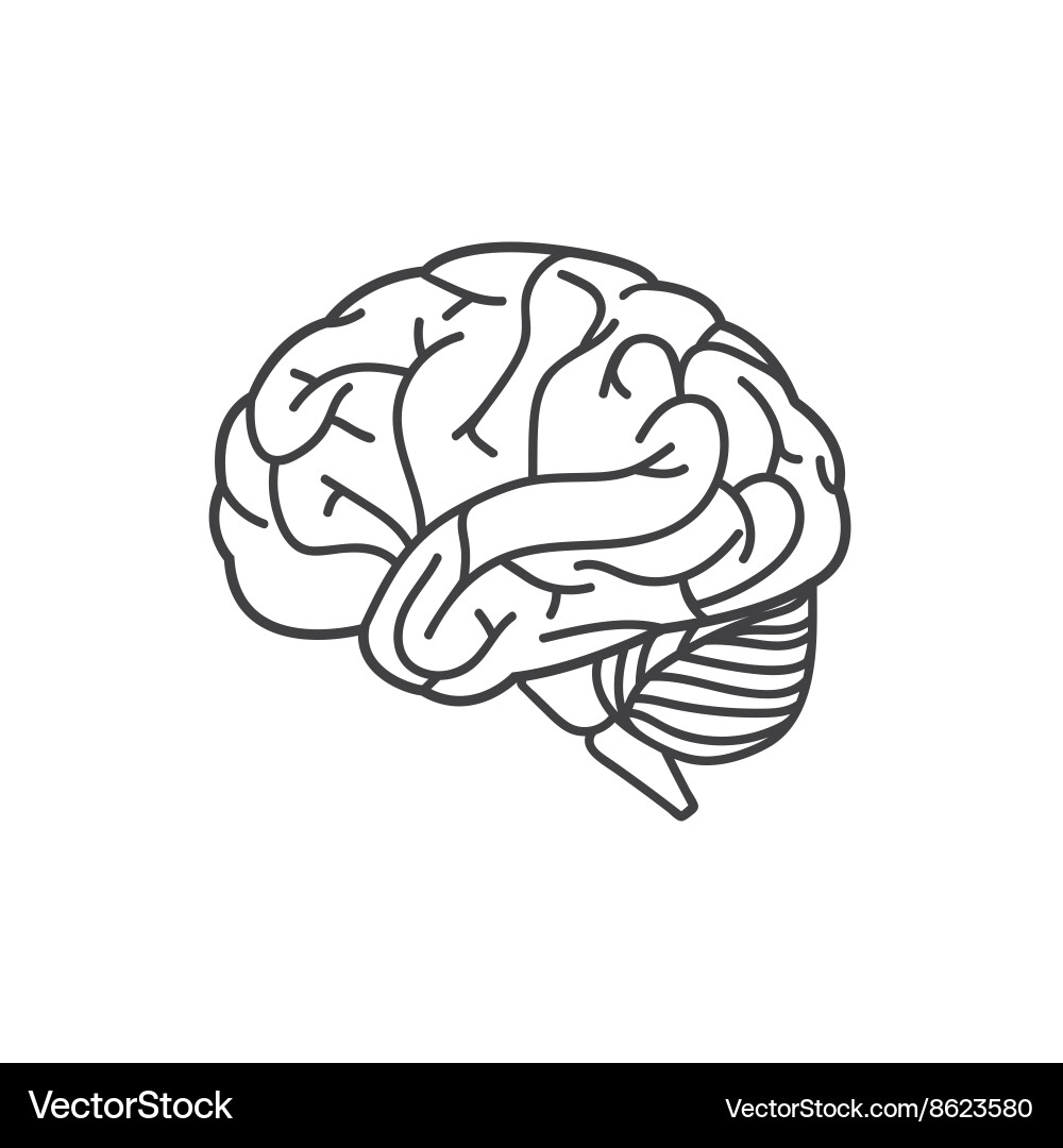 Brain Line Art Vector Images (over 24,000)