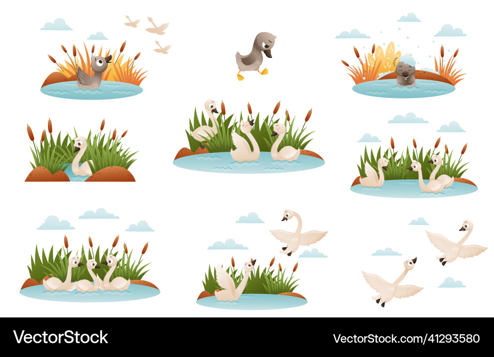 Ugly duckling fairy tale lonely finding Royalty Free Vector
